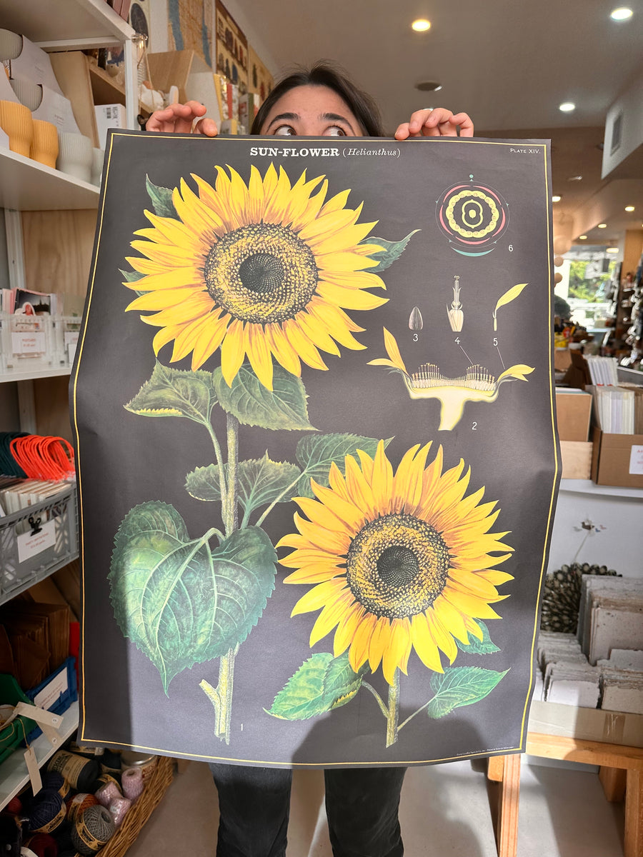 Got Blank Walls? Then You Need Posters. – Pulp Creative Paper