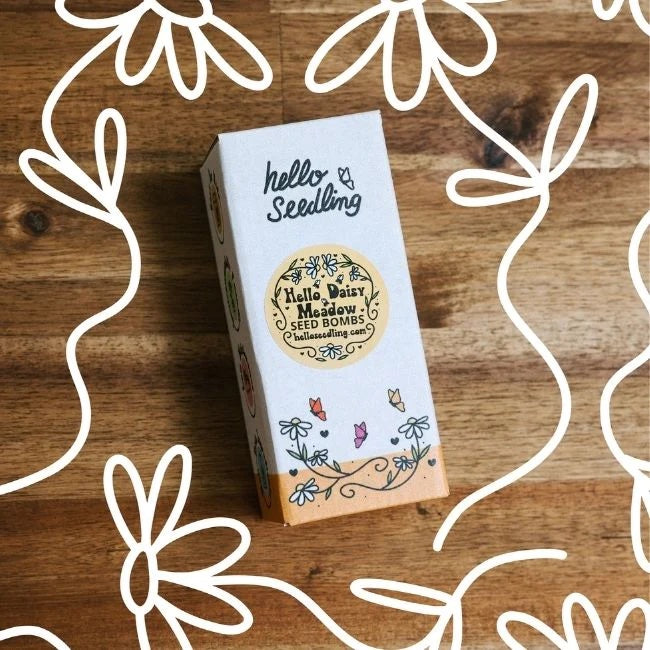Hello Seedling SEED BOMBS – Pulp Creative Paper