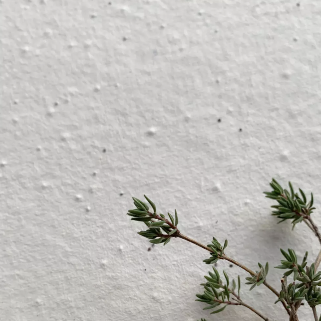 Paper-Go-Round Seed Paper / A4 – Pulp Creative Paper