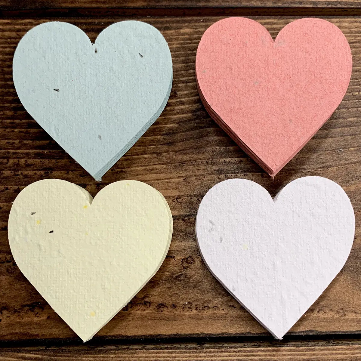 Paper-Go-Round Seed Paper / HEART SHAPES – Pulp Creative Paper